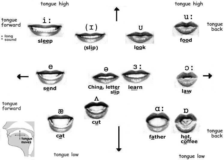 South African Accent (non-Afrikaans) Simple Vowels - The Voice Cafe