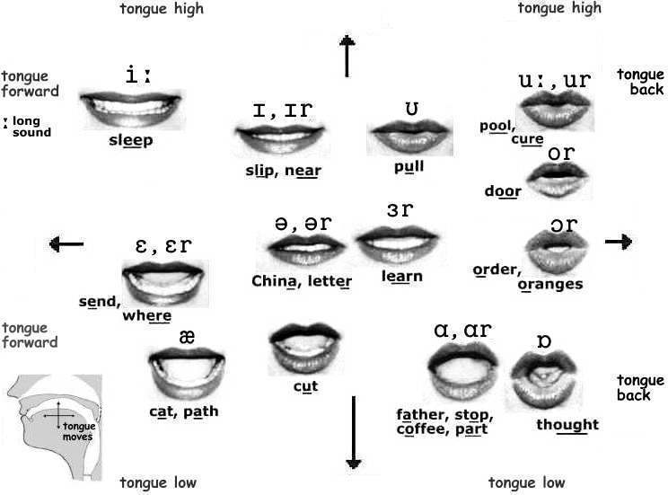 American Accent (North East Coast) Simple Vowels - The Voice Cafe